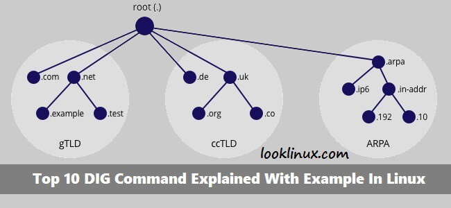 Top 10 DIG Command Explained With Example In Linux - LookLinux Top 10 DIG Command Explained With Example In Linux - LookLinux