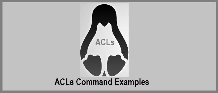 Acl Command Example In Linuxunix Looklinux