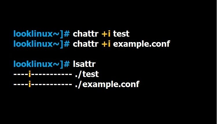 5 Chattr Command Examples In Linux LookLinux