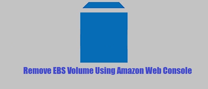 How To Remove EBS Volume Using Amazon Web Console - LookLinux