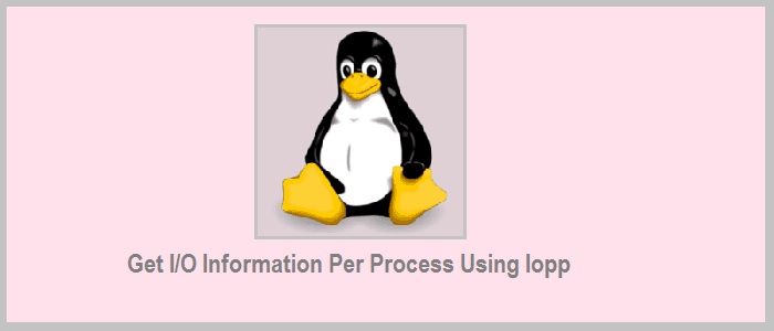 How to Get I/O Information Per Process Using Iopp - LookLinux